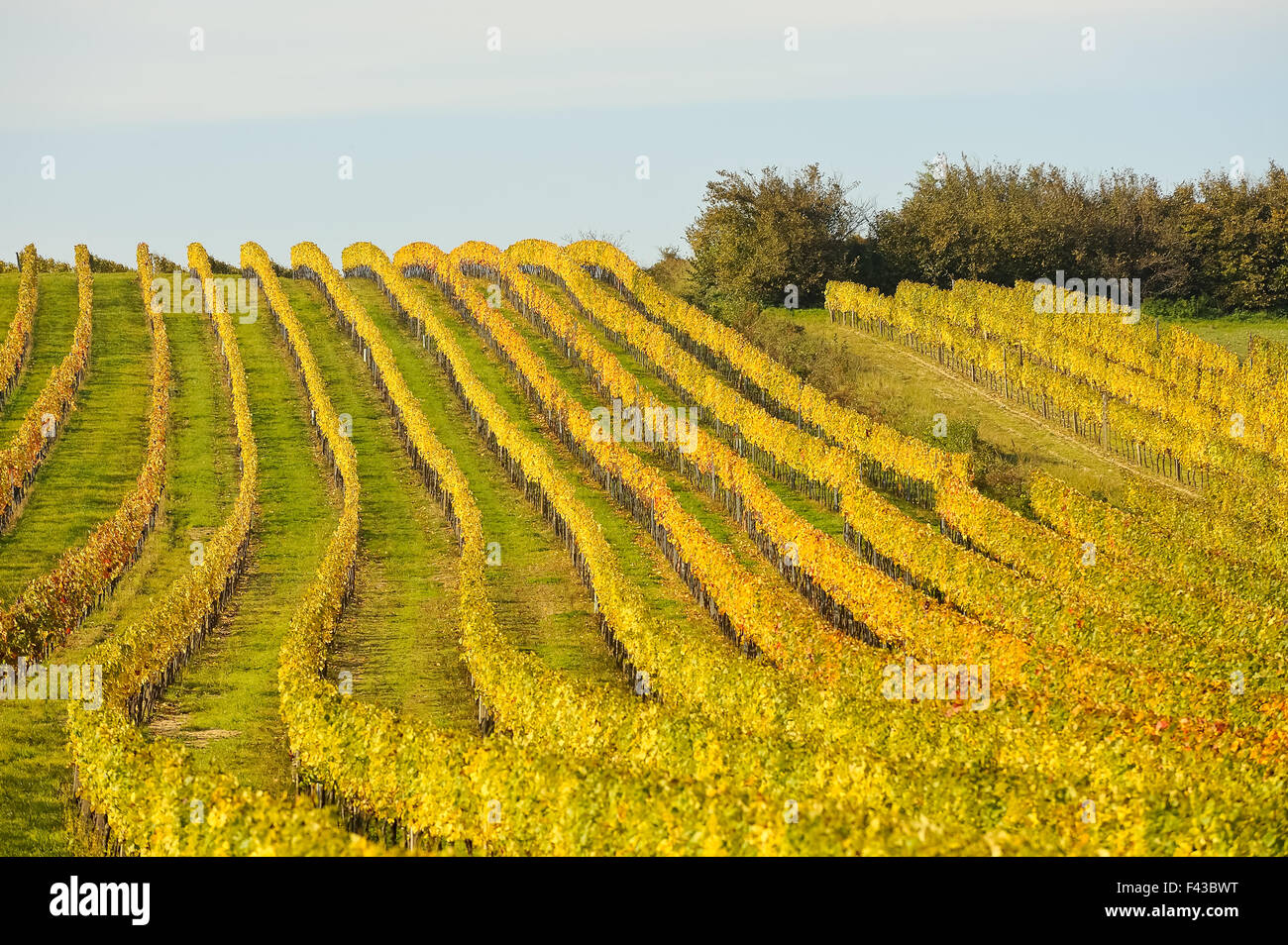 Southern slope hi-res stock photography and images - Alamy