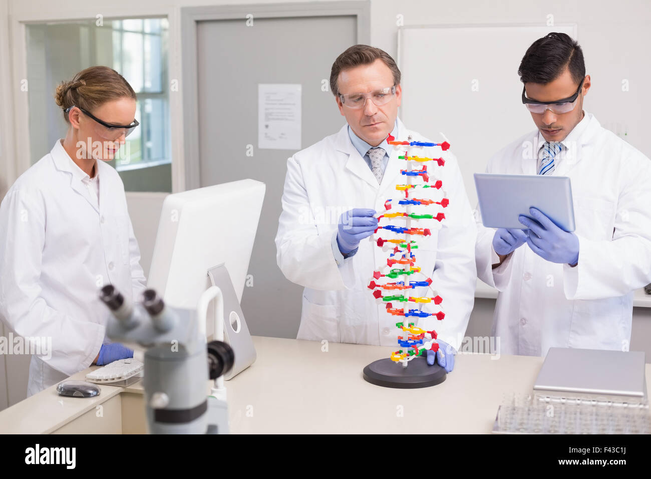 Scientists working together Stock Photo - Alamy