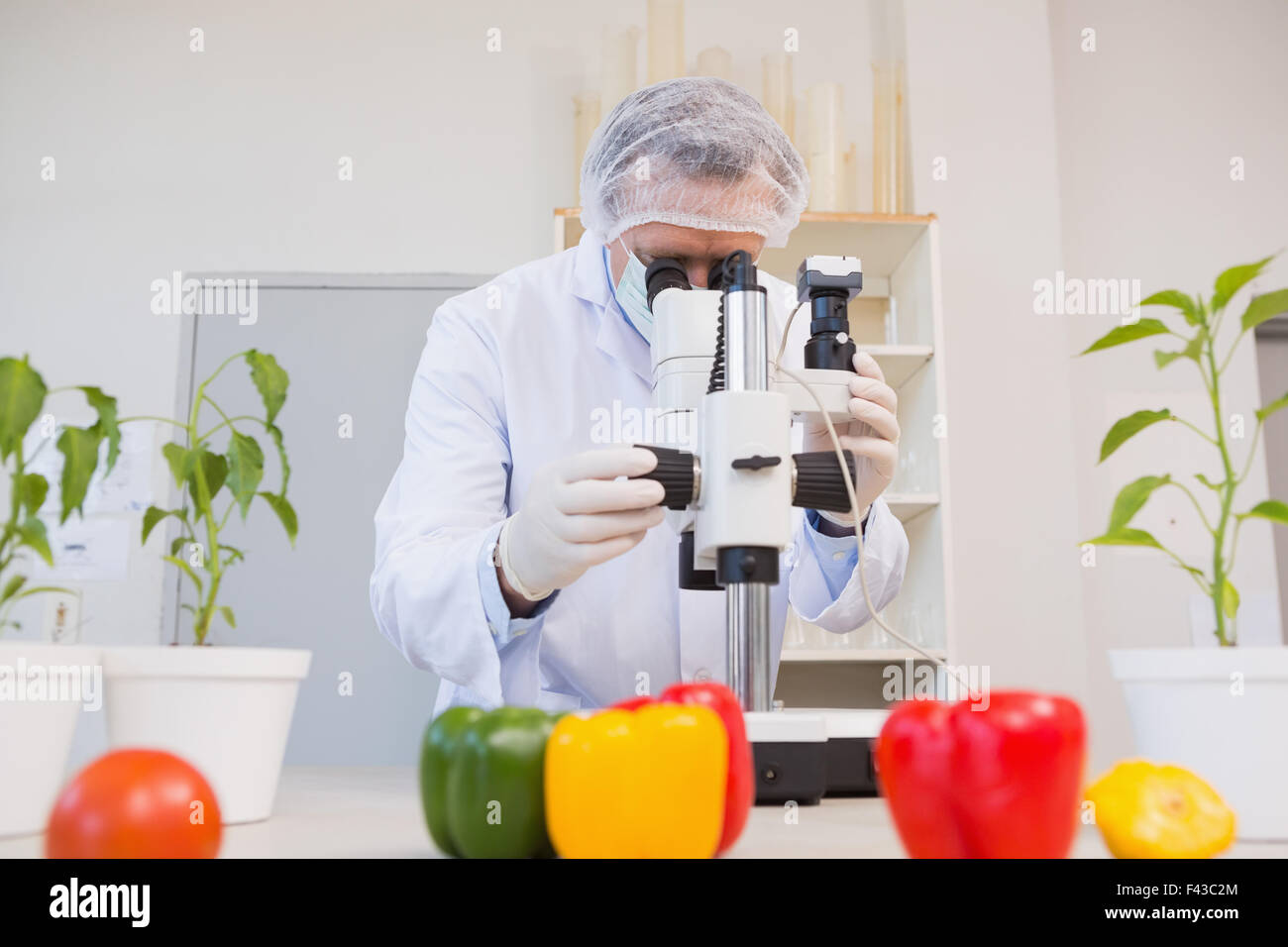 Food scientist looking through a microscope Stock Photo - Alamy