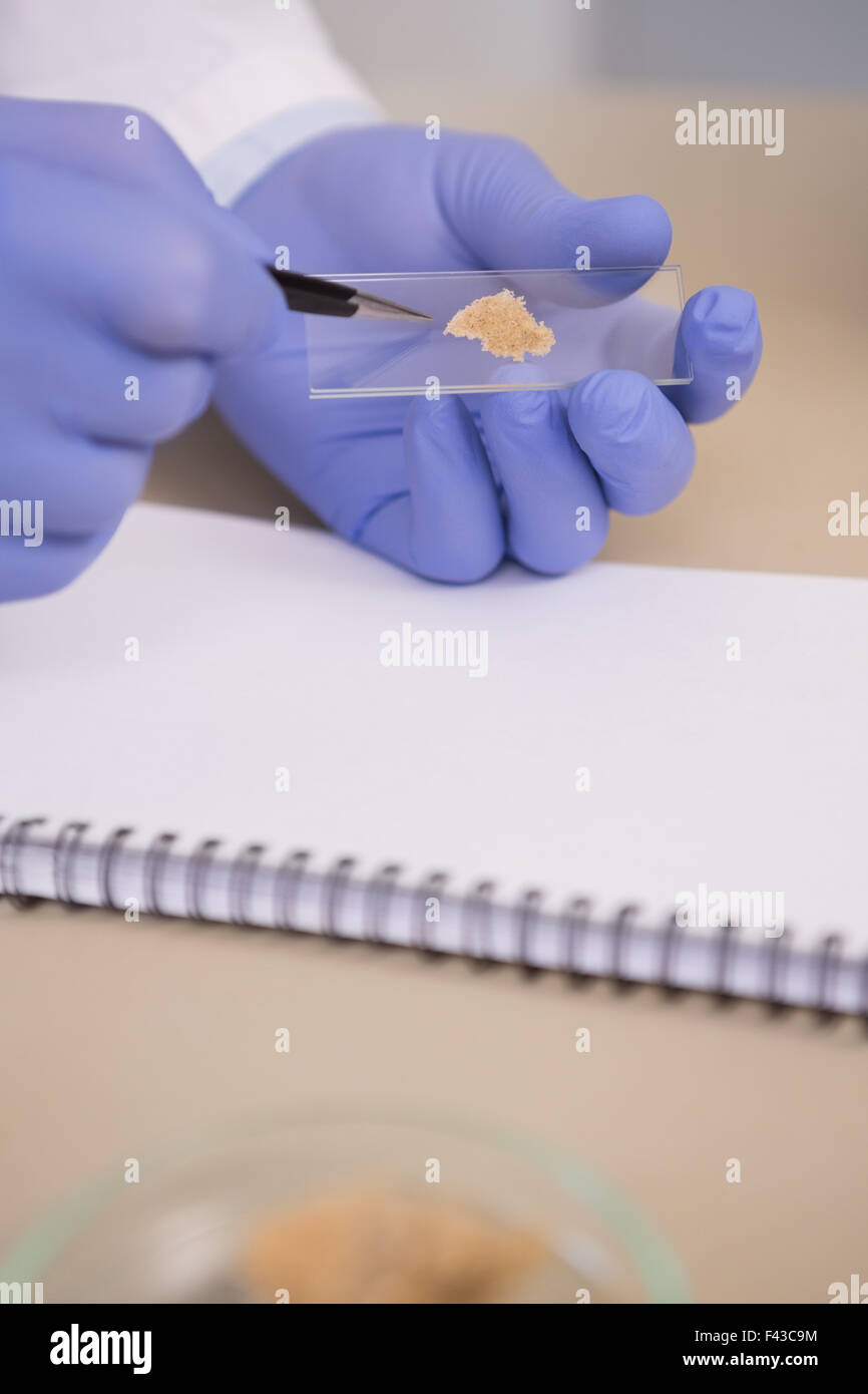 Scientist examining pieces of bread Stock Photo - Alamy