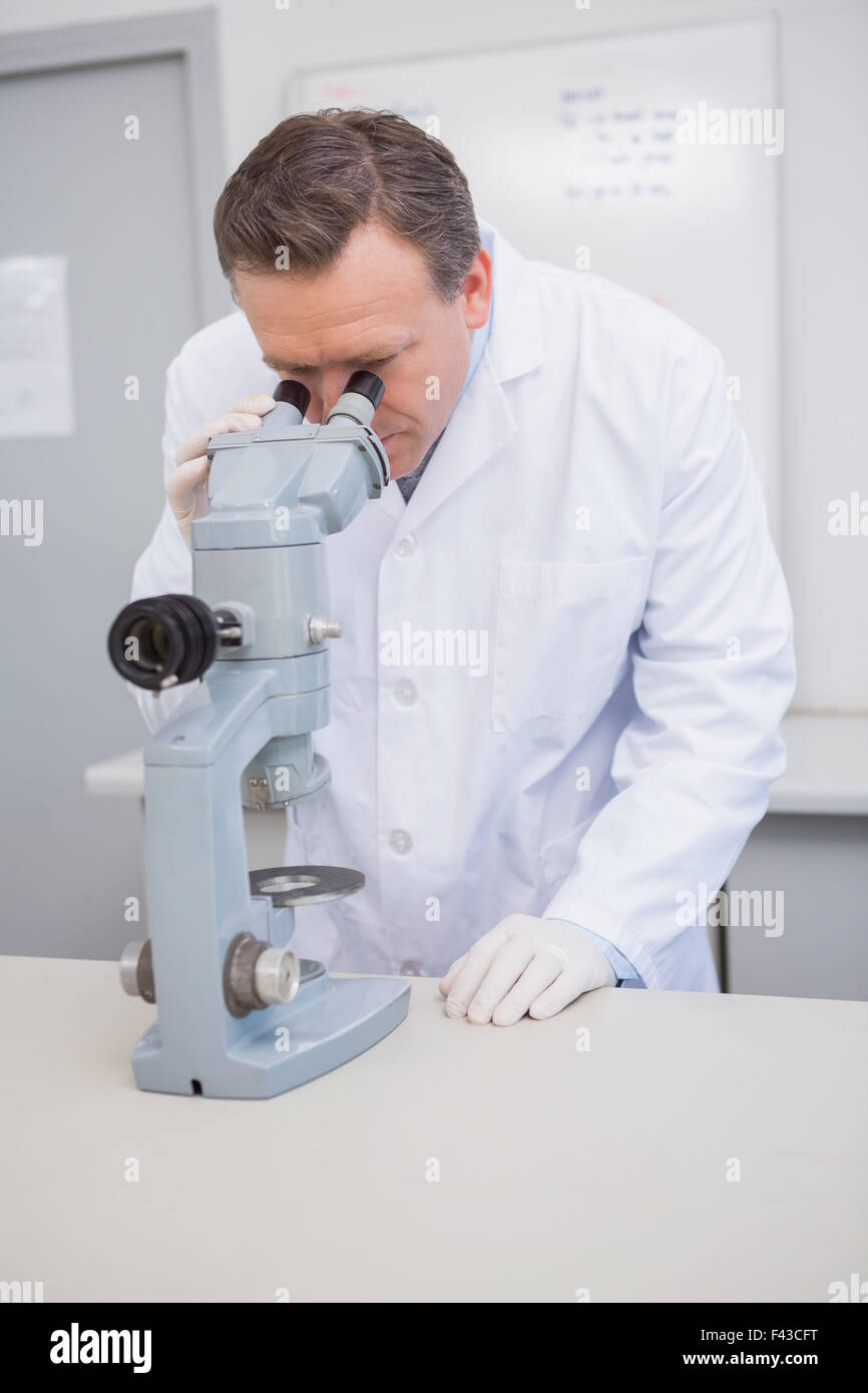 Scientist examining sample with microscope Stock Photo - Alamy