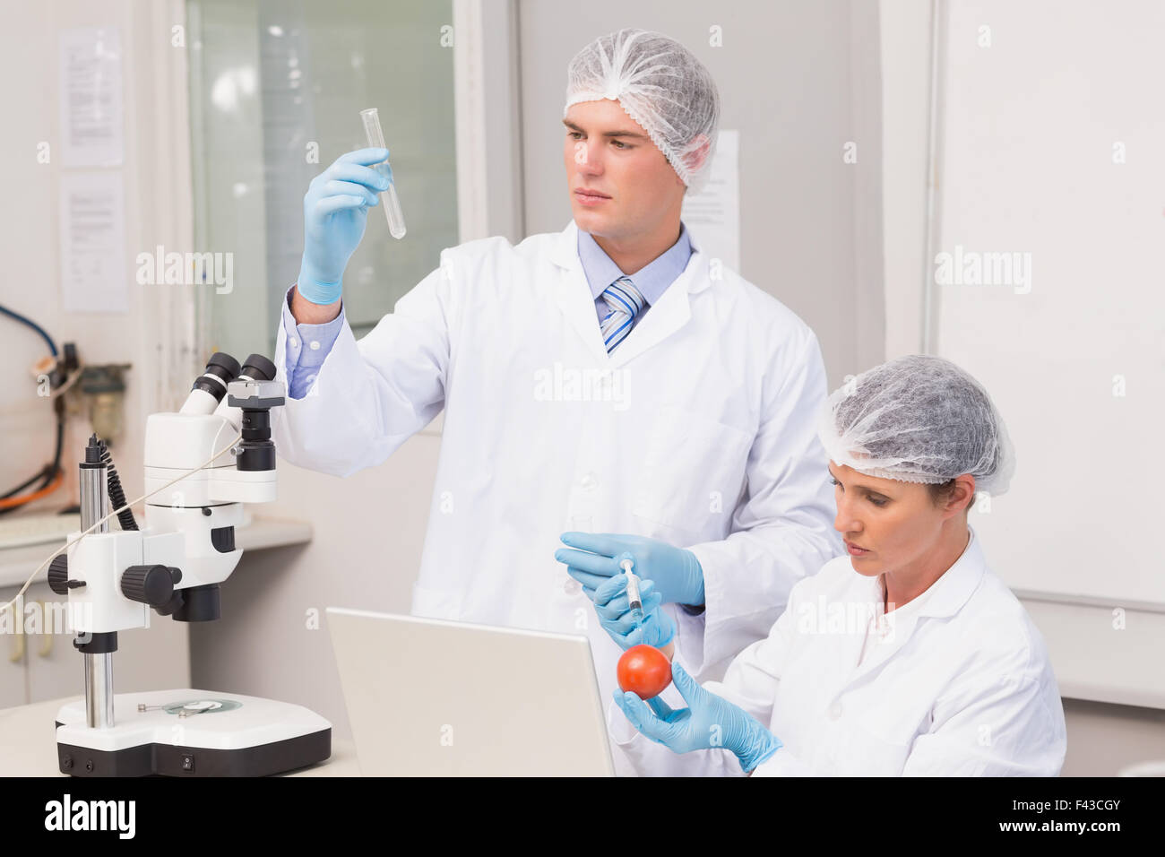 Scientists examining tomato Stock Photo - Alamy