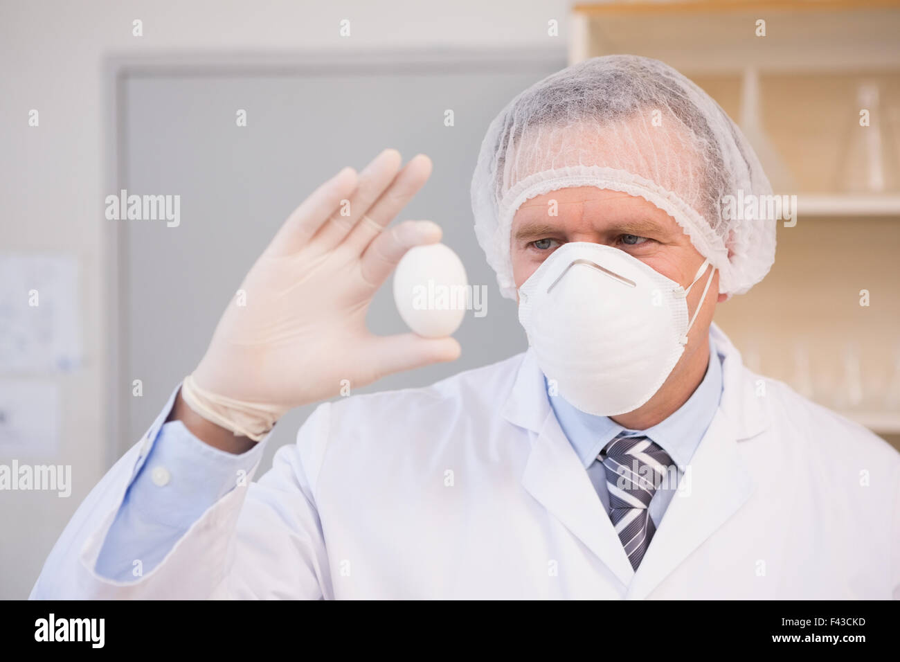 Scientist holding egg hi-res stock photography and images - Alamy