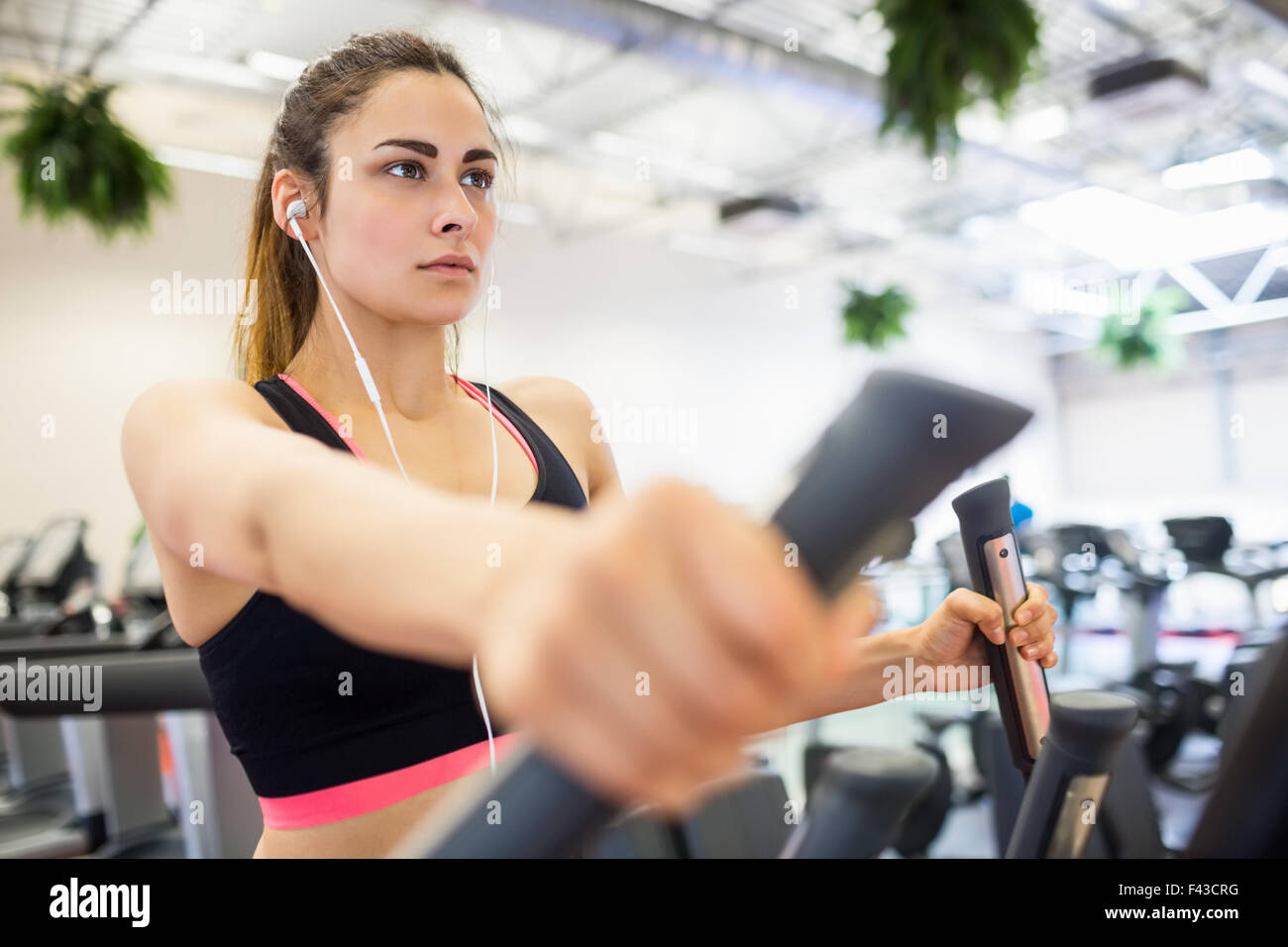 Cross trainer machine hi-res stock photography and images - Alamy