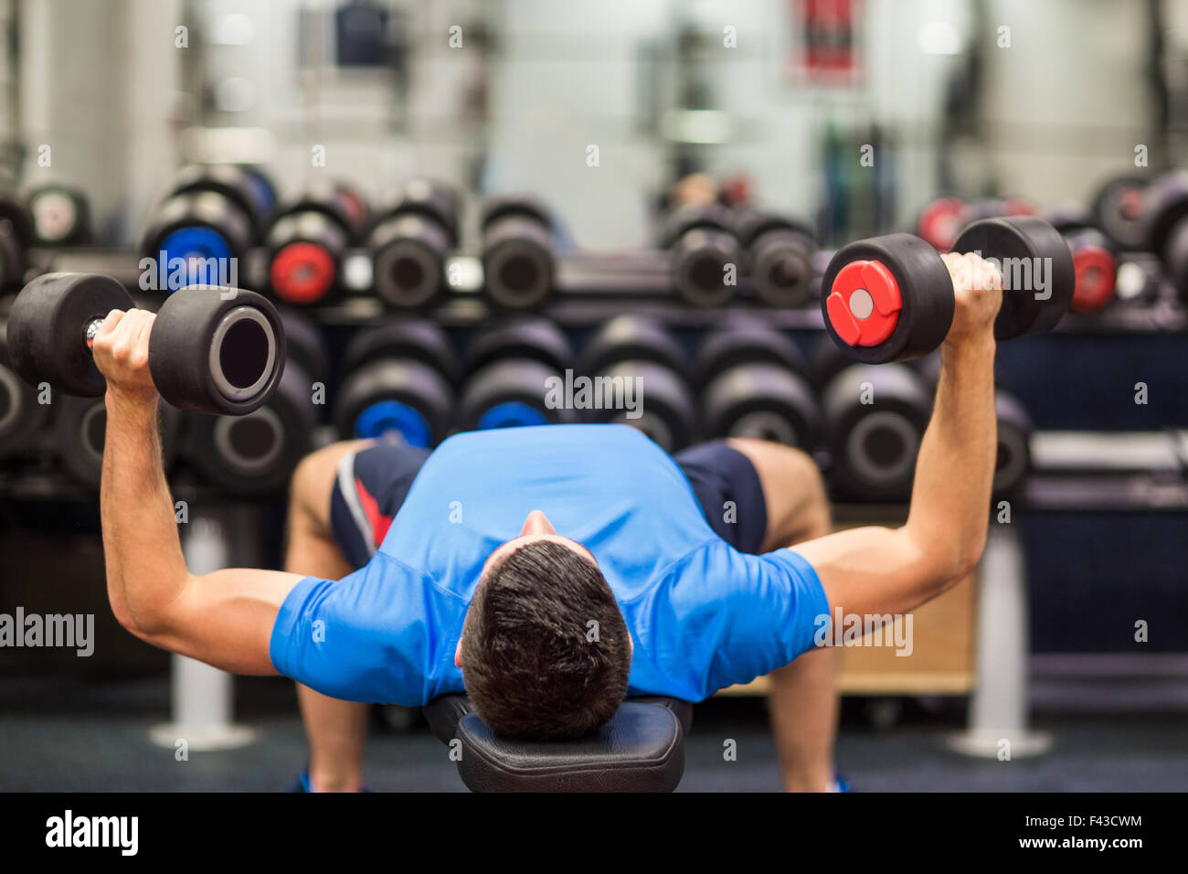 Man using weights in his workout Stock Photo - Alamy