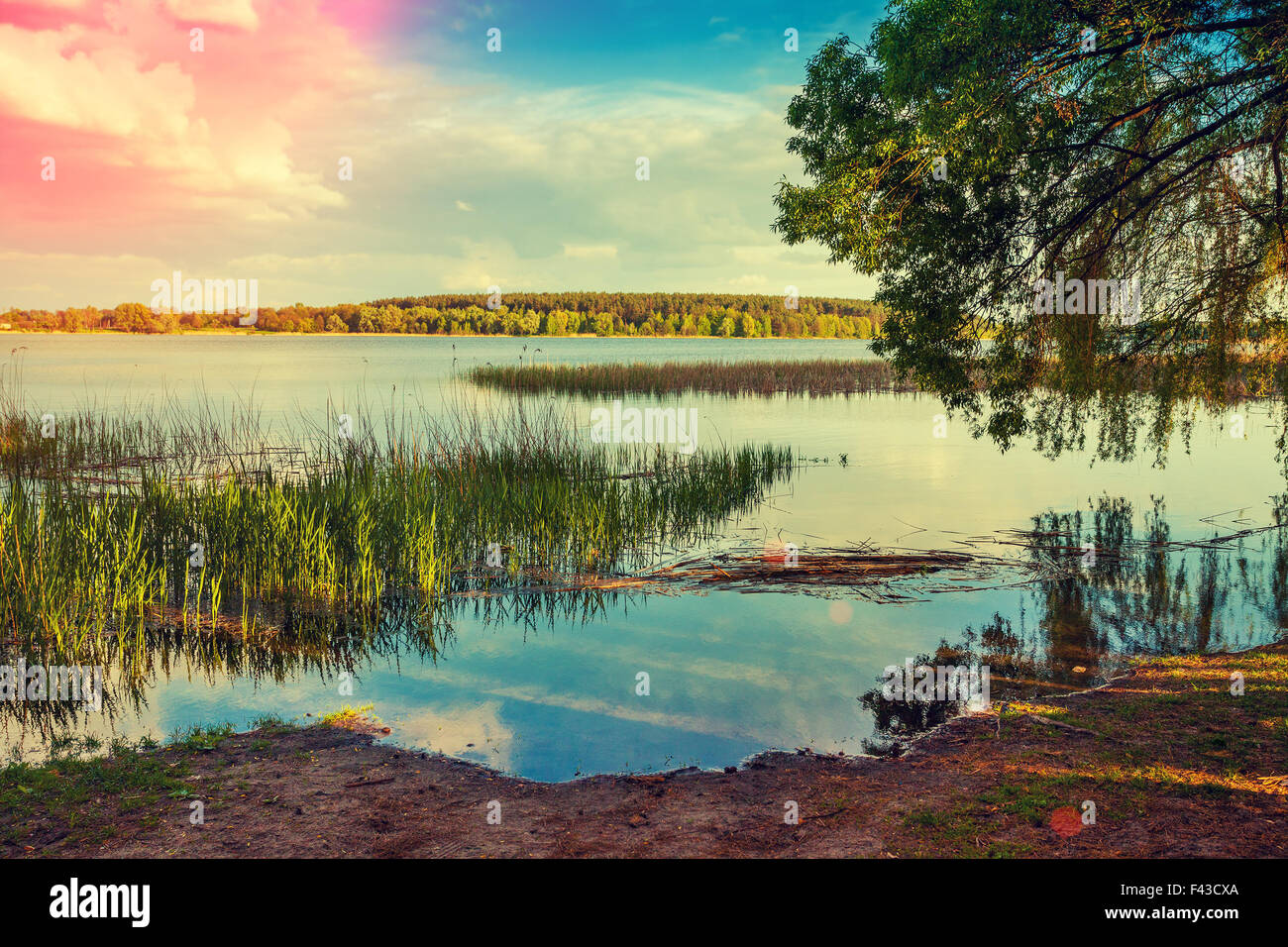 Landscape with lake Stock Photo - Alamy