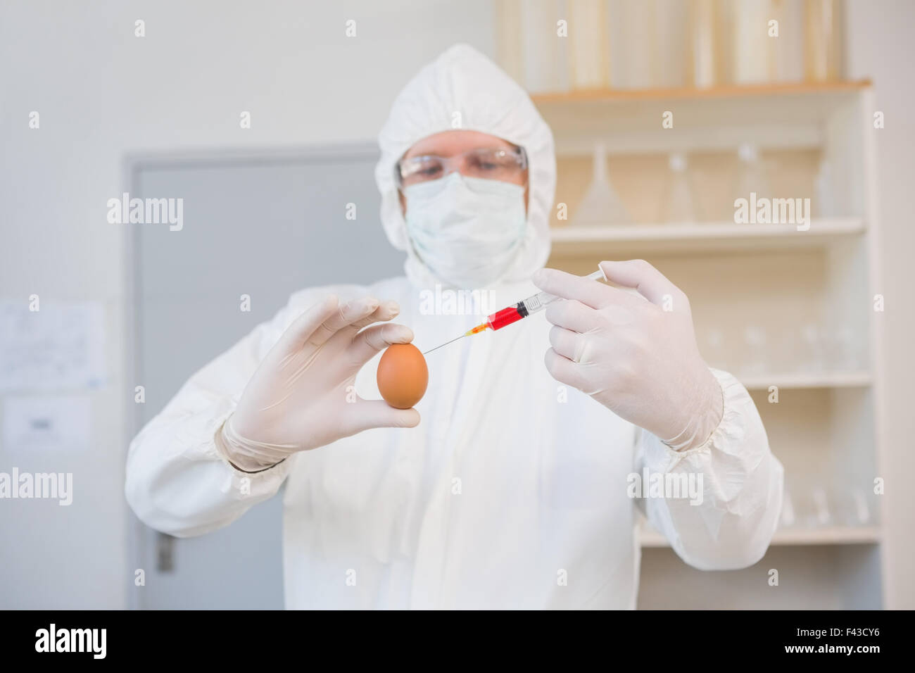 Scientist injecting egg Stock Photo - Alamy