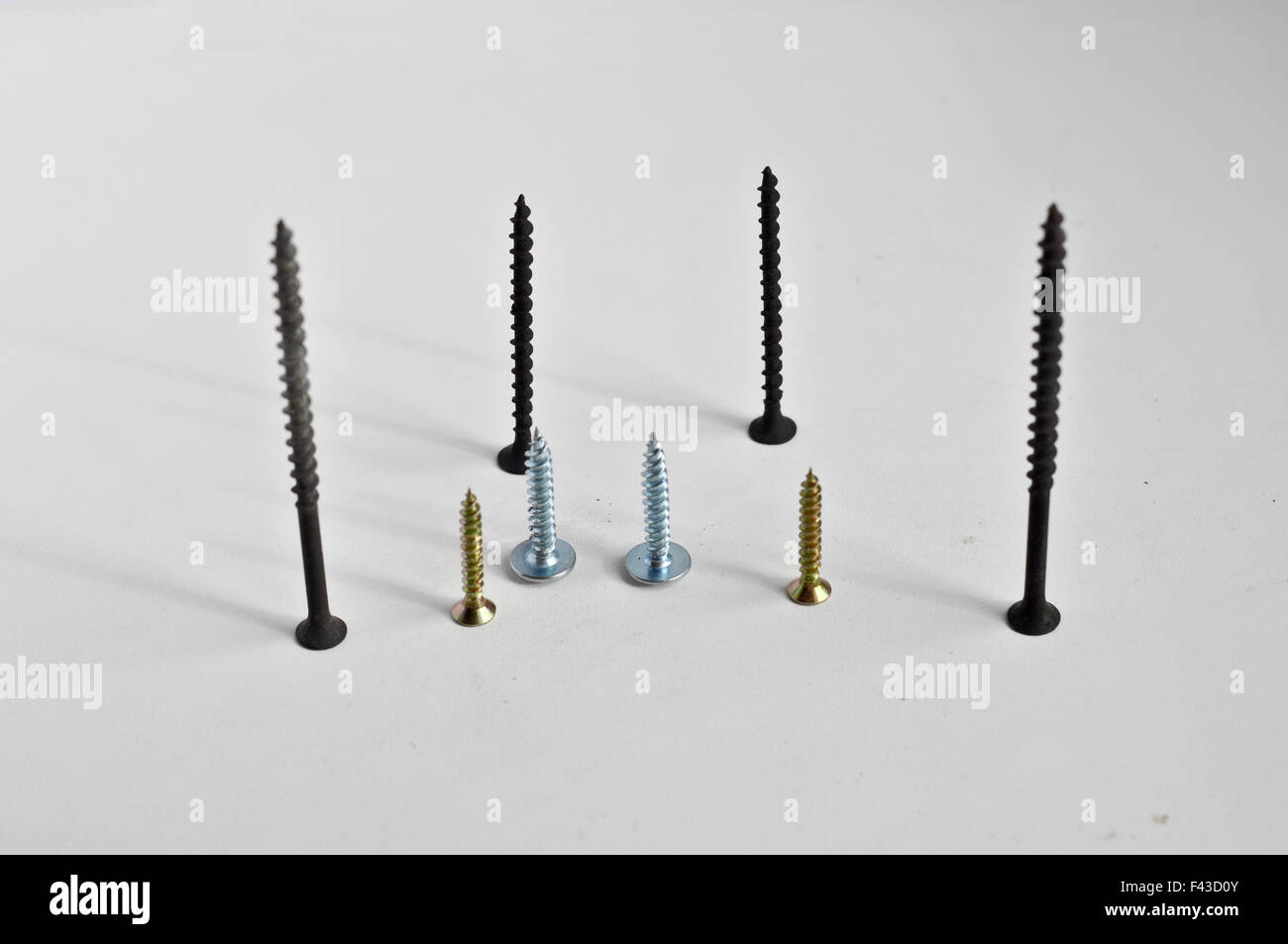 The screws. Indispensable for those who want to make something of ...