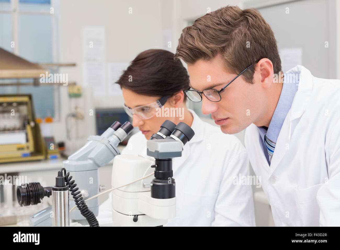 Scientists looking attentively in microscopes Stock Photo - Alamy
