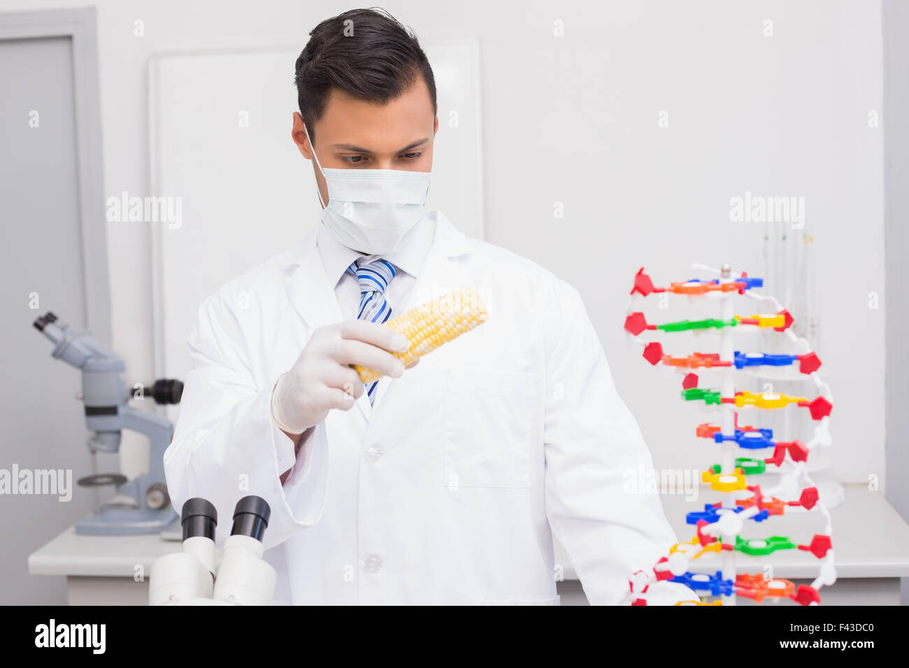 Biology experimentation hi-res stock photography and images - Alamy