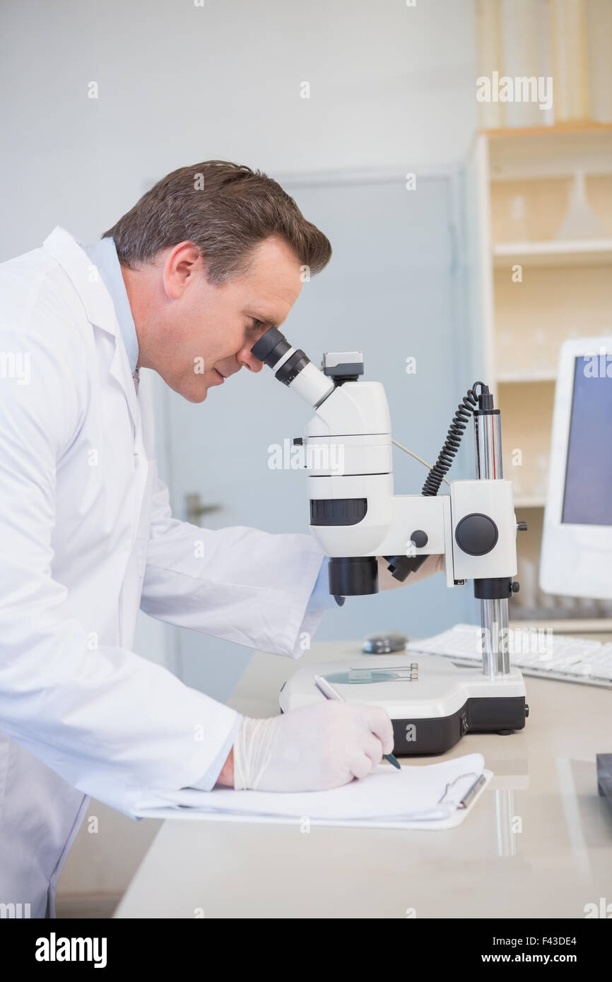 Scientist examining sample with microscope Stock Photo - Alamy