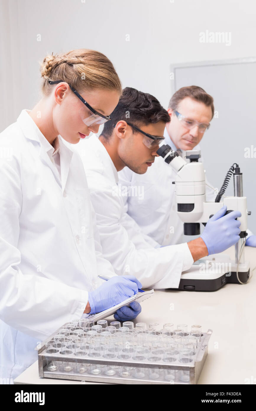 Concentrated scientists working together Stock Photo - Alamy