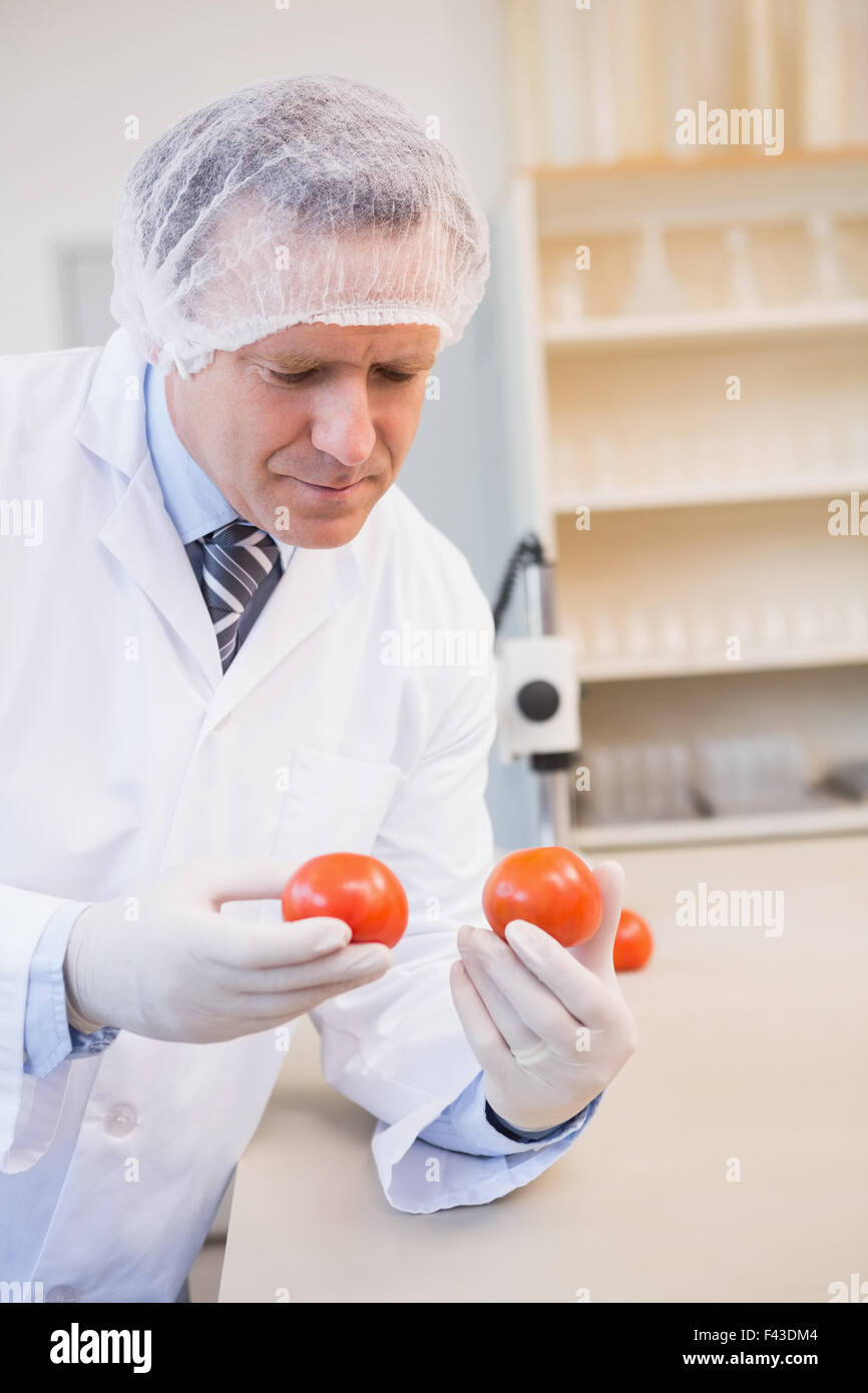 Food scientist looking at red tomato Stock Photo - Alamy