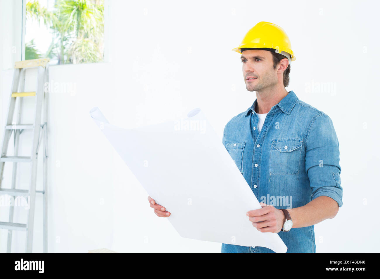 Architect holding blueprint in house Stock Photo - Alamy