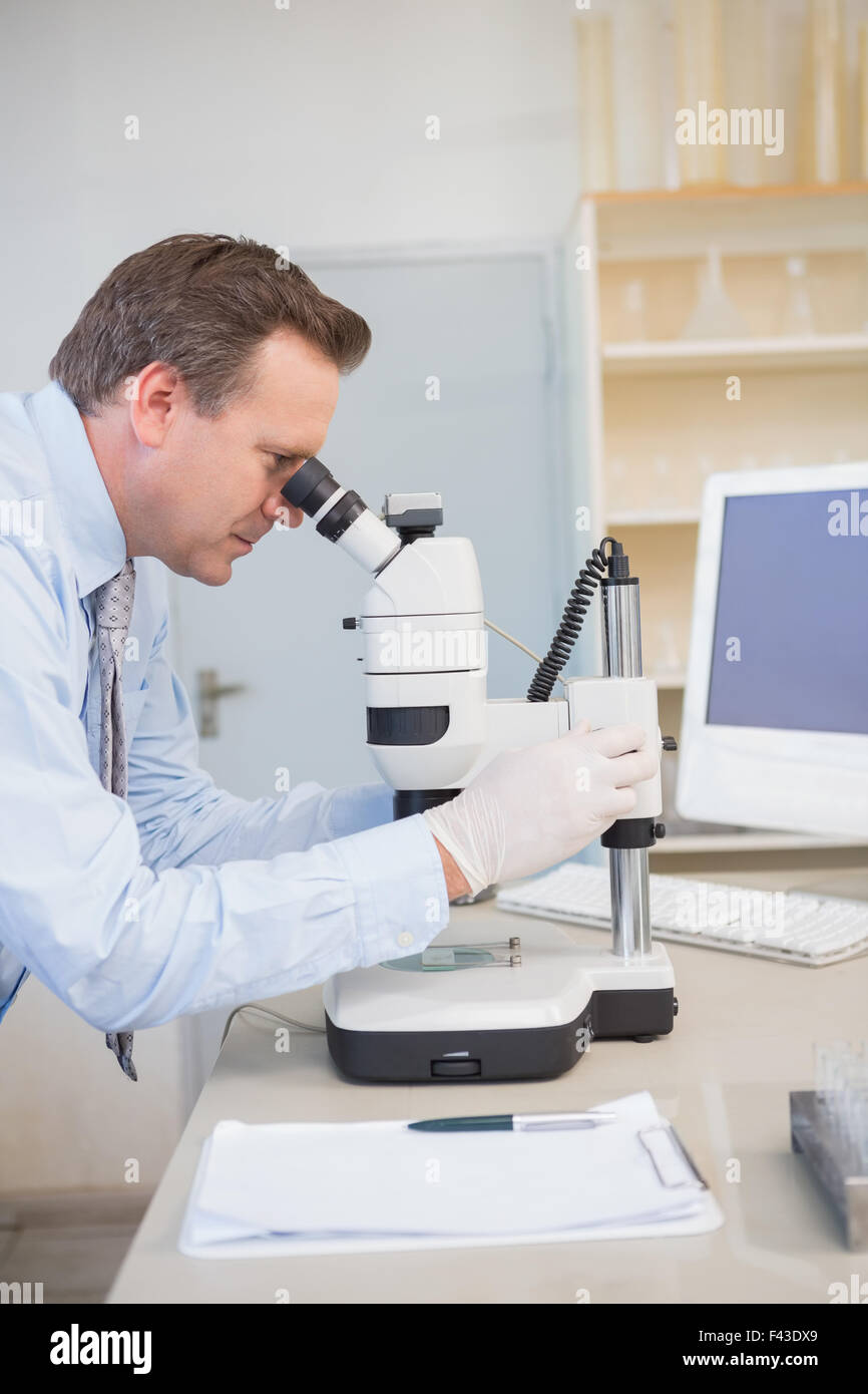 Scientist using computer and microscope Stock Photo - Alamy
