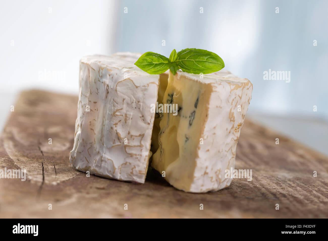 french musty blue cheese from Auvergne Stock Photo - Alamy