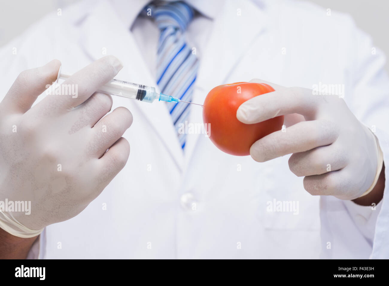 Scientist doing injection to tomato Stock Photo - Alamy