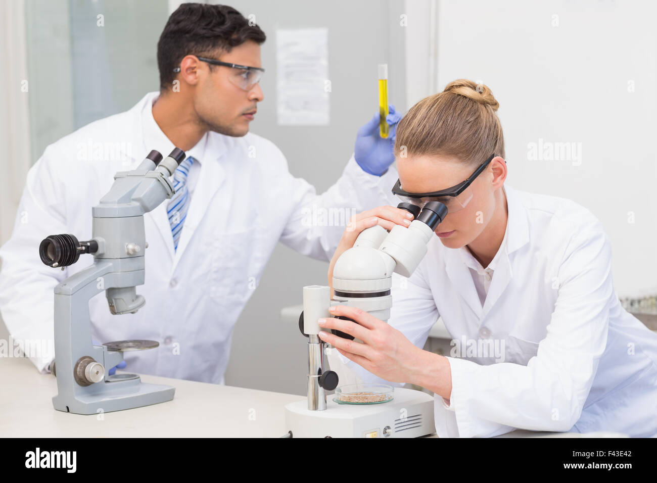 Scientists using microscope Stock Photo - Alamy