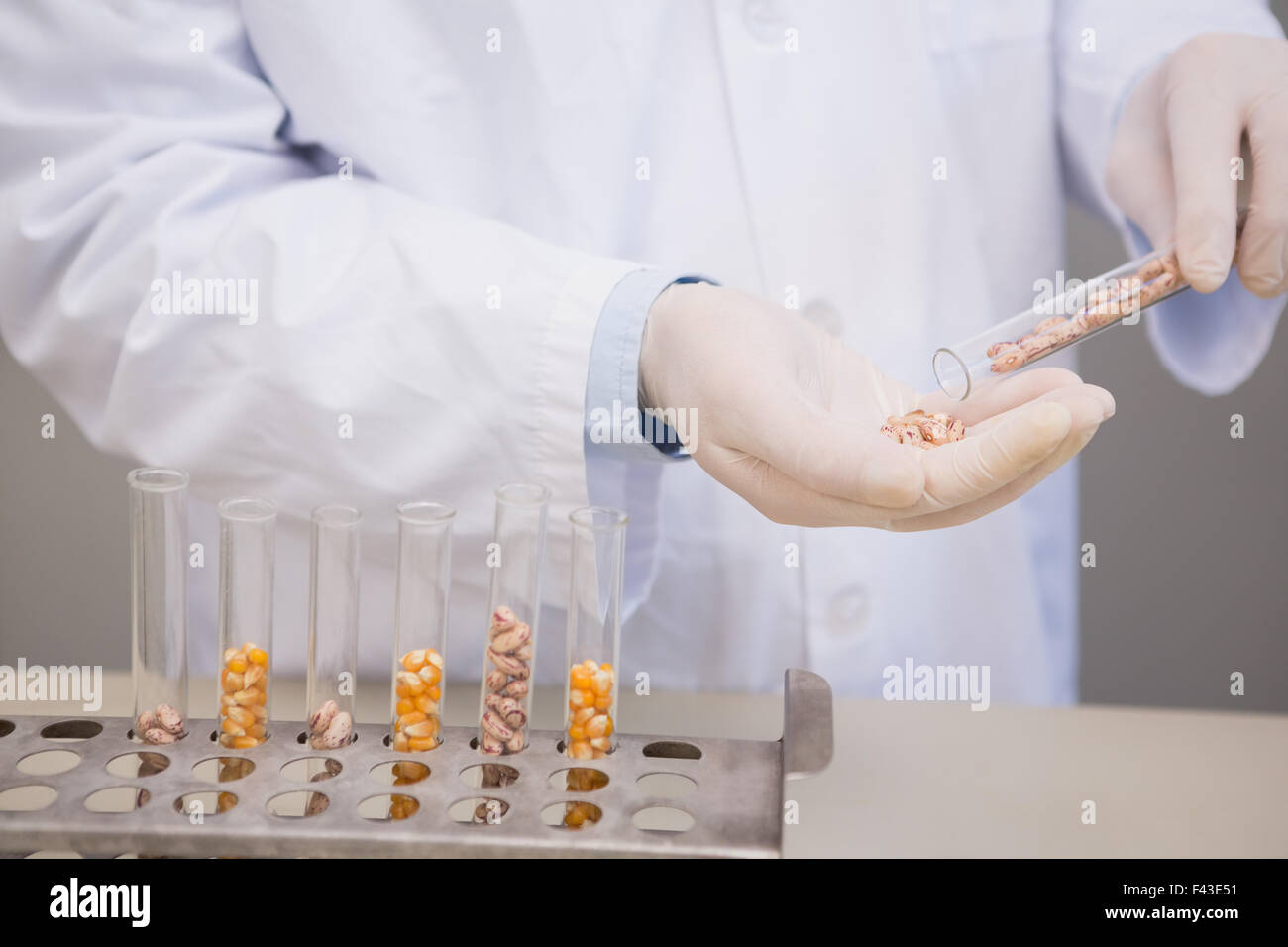 Kernel holding hi-res stock photography and images - Alamy