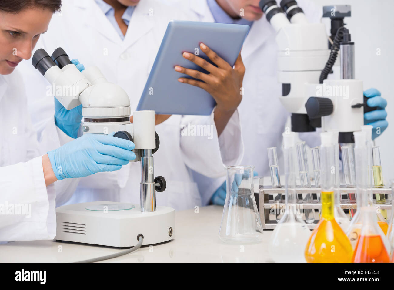 Scientists working using microscope hi-res stock photography and images ...