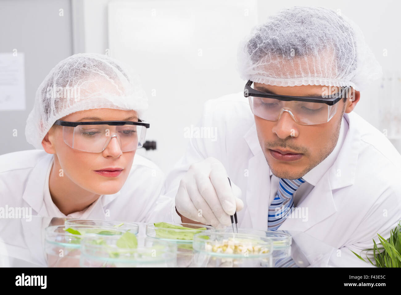 Female scientists researcher in hi-res stock photography and images - Alamy