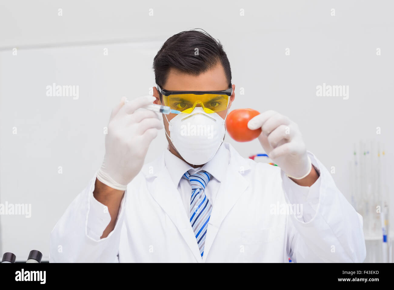 Scientist doing injection to tomato Stock Photo - Alamy