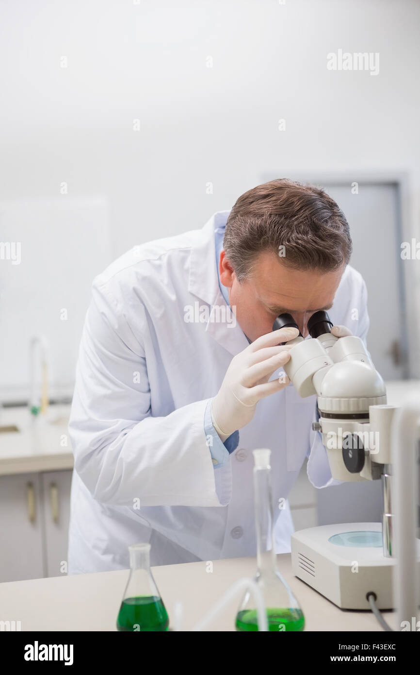 Scientist examining sample with microscope Stock Photo - Alamy
