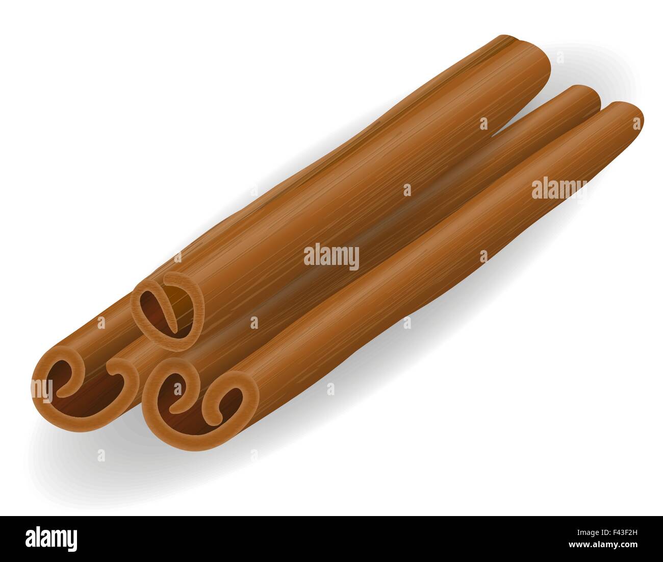 cinnamon stick vector illustration isolated on white background Stock ...