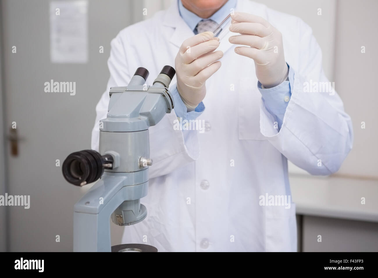 Scientist examining slide Stock Photo - Alamy