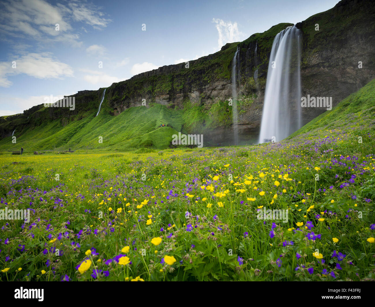 A waterfall cascade over a sheer cliff and wildflower meadows Stock ...