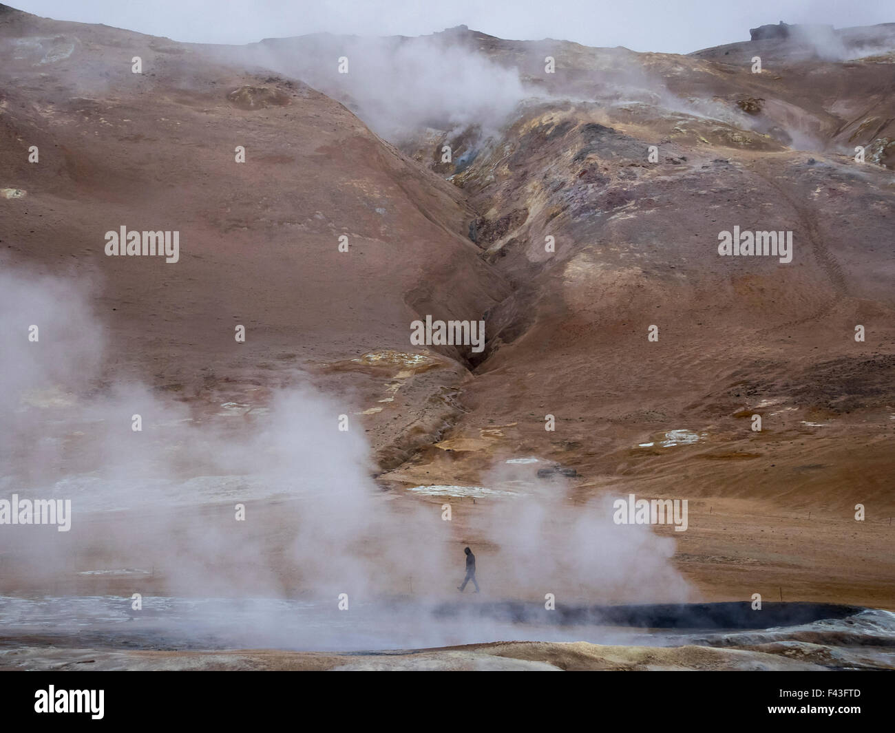 Rising from the ground hi-res stock photography and images - Alamy