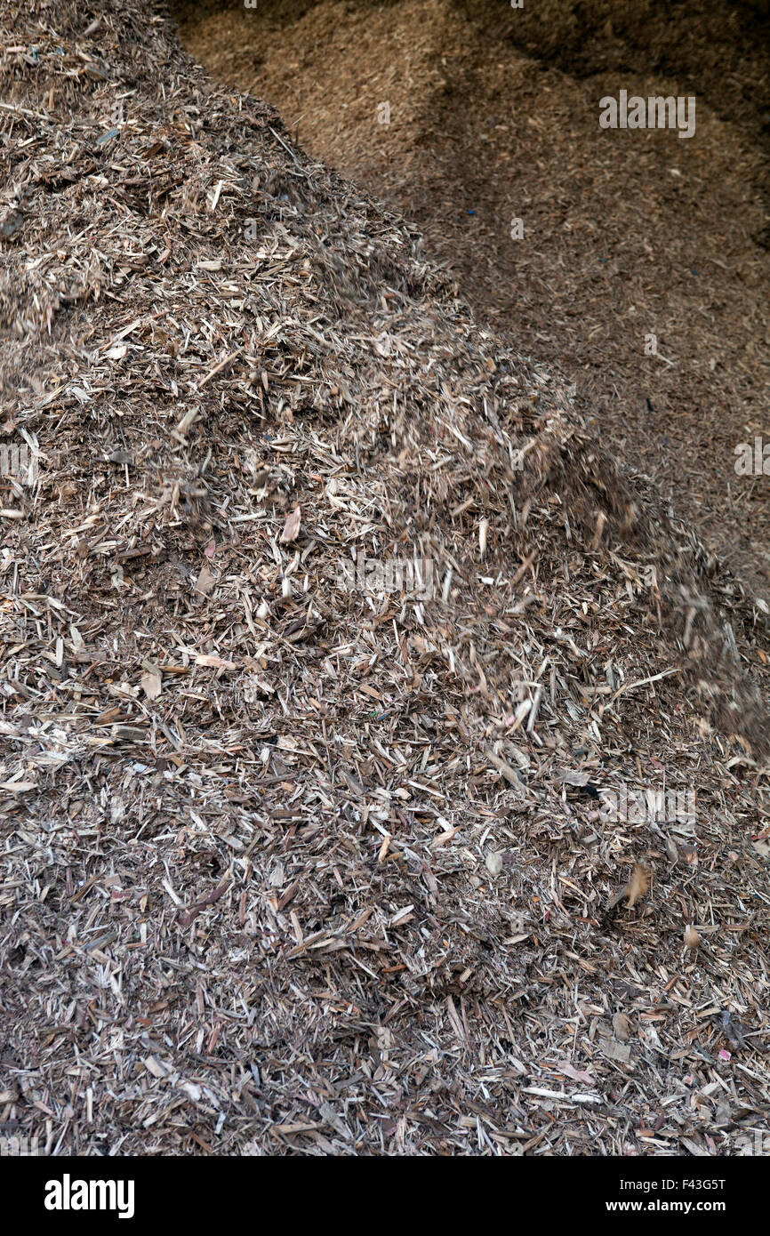 Stored organic waste heaped up in a large warehouse for biomass fuel ...