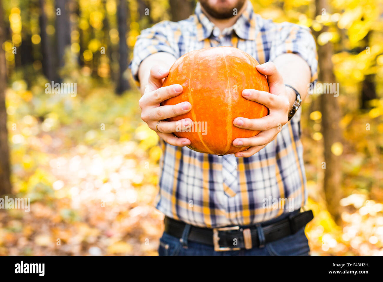 Smiling man carrying pumpkin in a park Stock Photo - Alamy