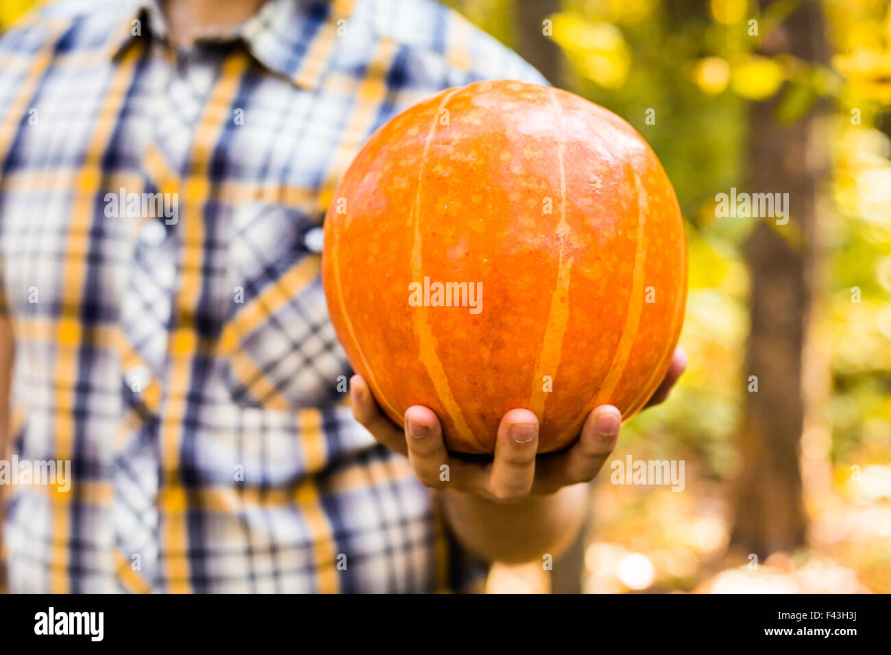 Smiling man carrying pumpkin in a park Stock Photo - Alamy