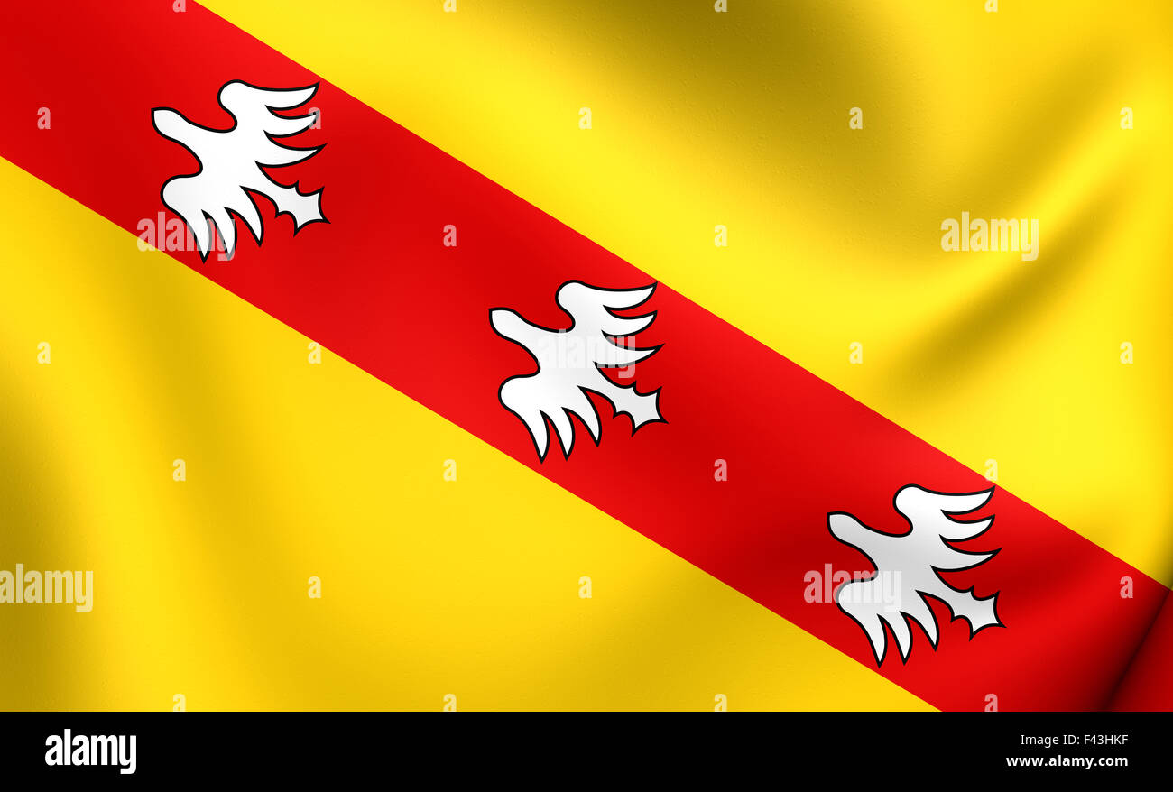 Flag of Lorraine Stock Photo - Alamy