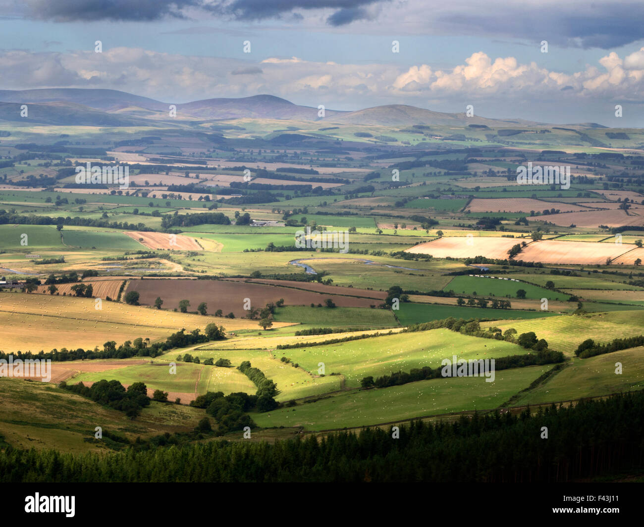 Cheviot hills northumberland summer hi-res stock photography and images ...
