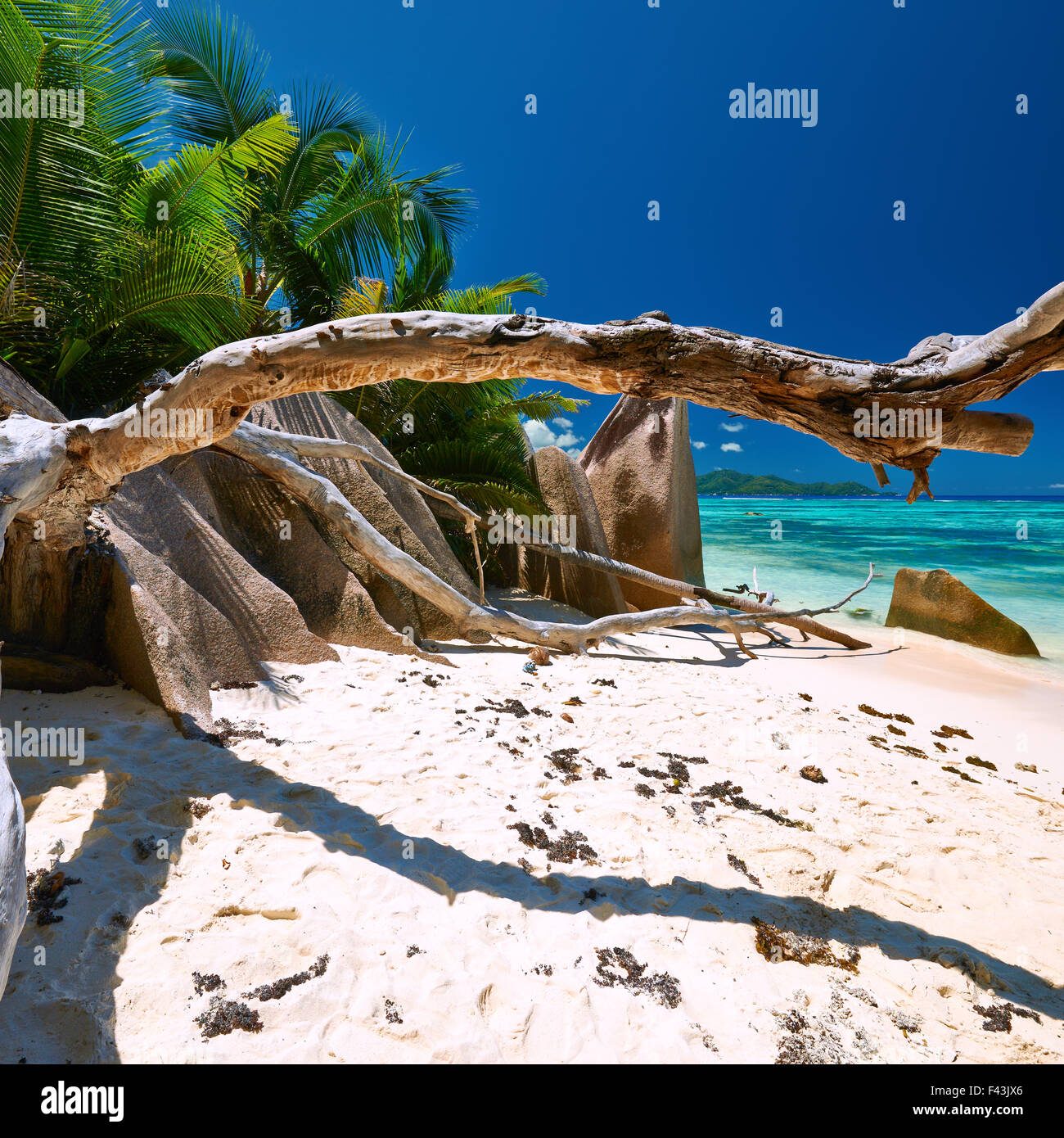 Beautiful beach at Seychelles Stock Photo - Alamy