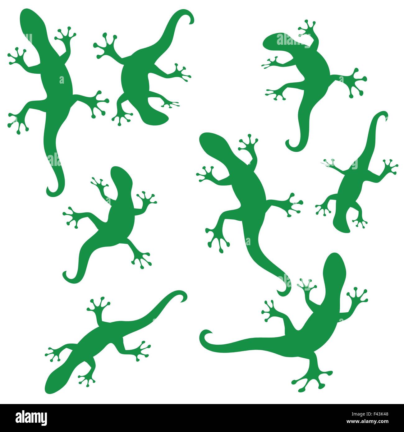 silhouettes of salamander Stock Photo - Alamy