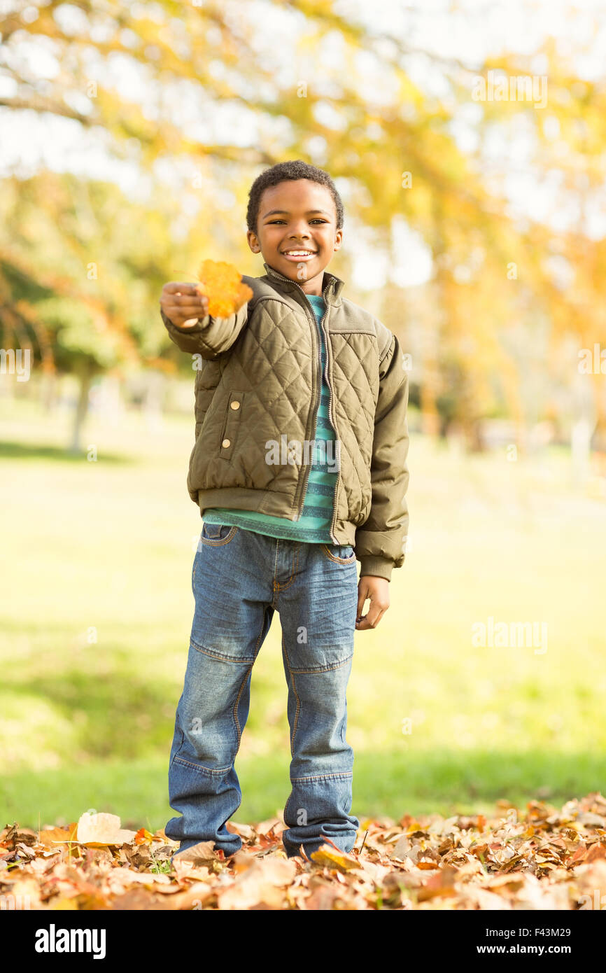 Boy leaves hi-res stock photography and images - Alamy