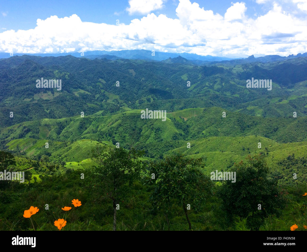 Laos countryside hi-res stock photography and images - Alamy