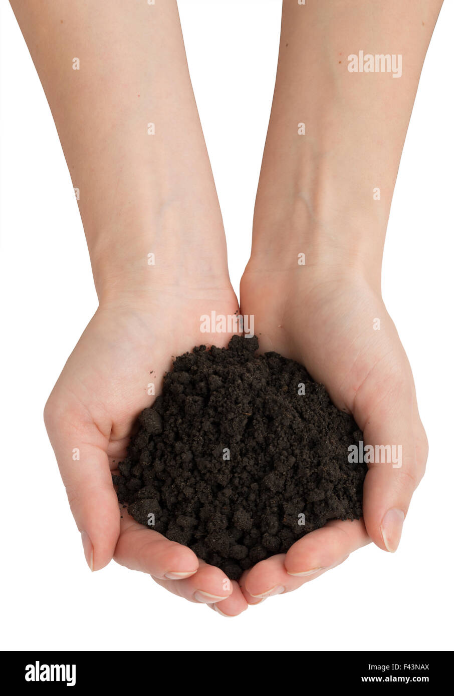 Ground in humans hands Stock Photo - Alamy