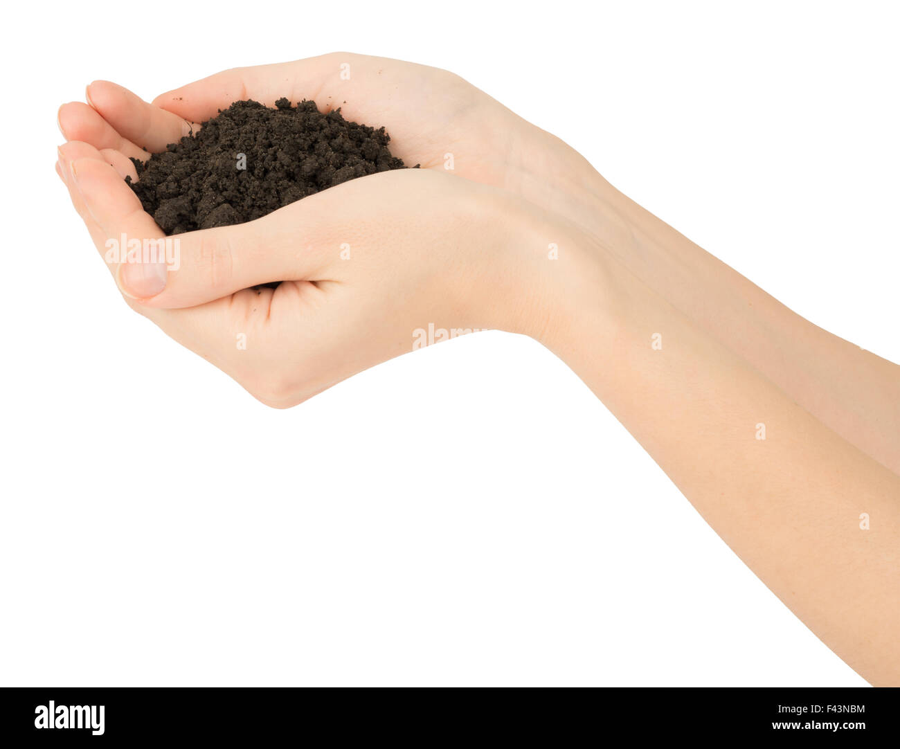 Heap of ground in hands Stock Photo - Alamy