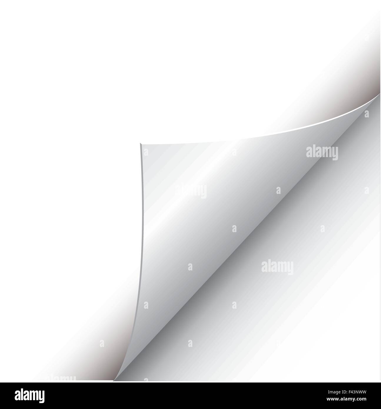 Vector corner paper texture Stock Vector Image & Art - Alamy