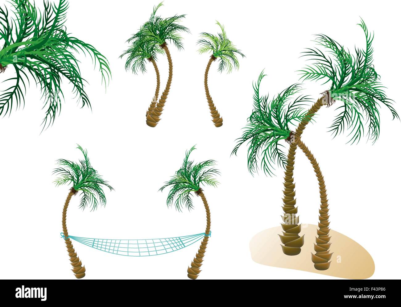 Isolated beach palm tree Stock Vector Images - Alamy