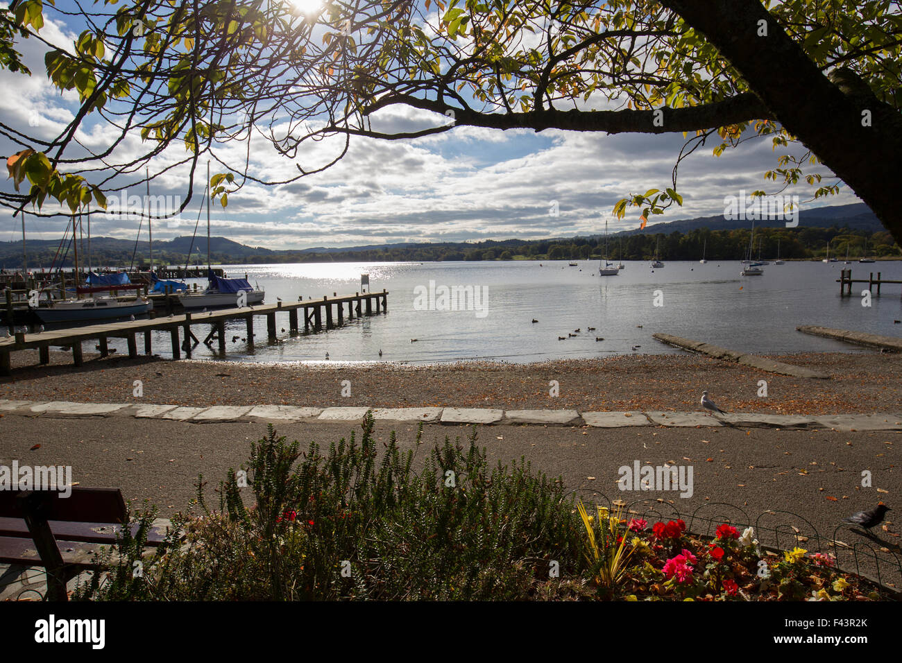 Wednesday lake hi-res stock photography and images - Alamy