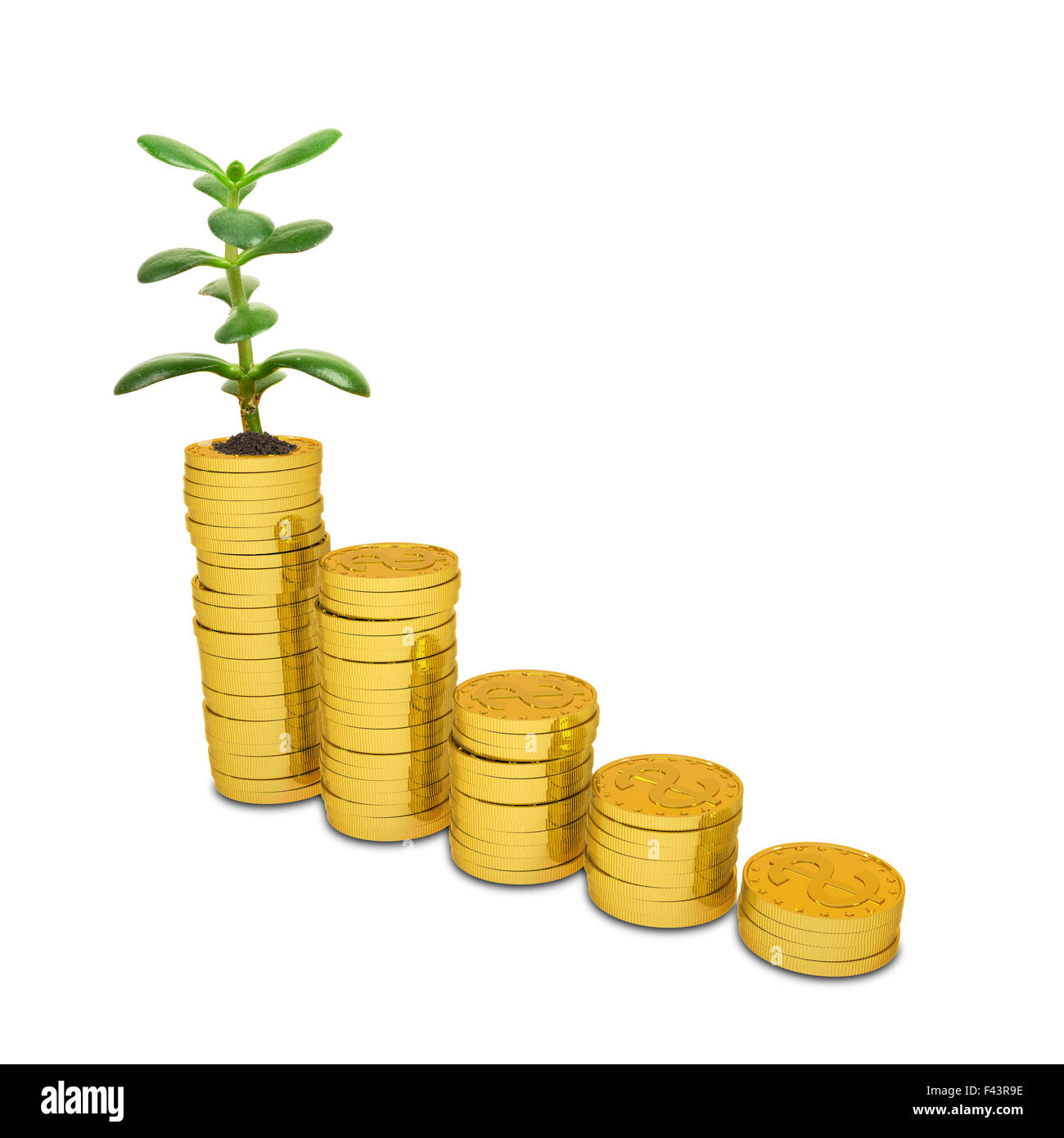 Tree golden coins on Cut Out Stock Images & Pictures - Alamy