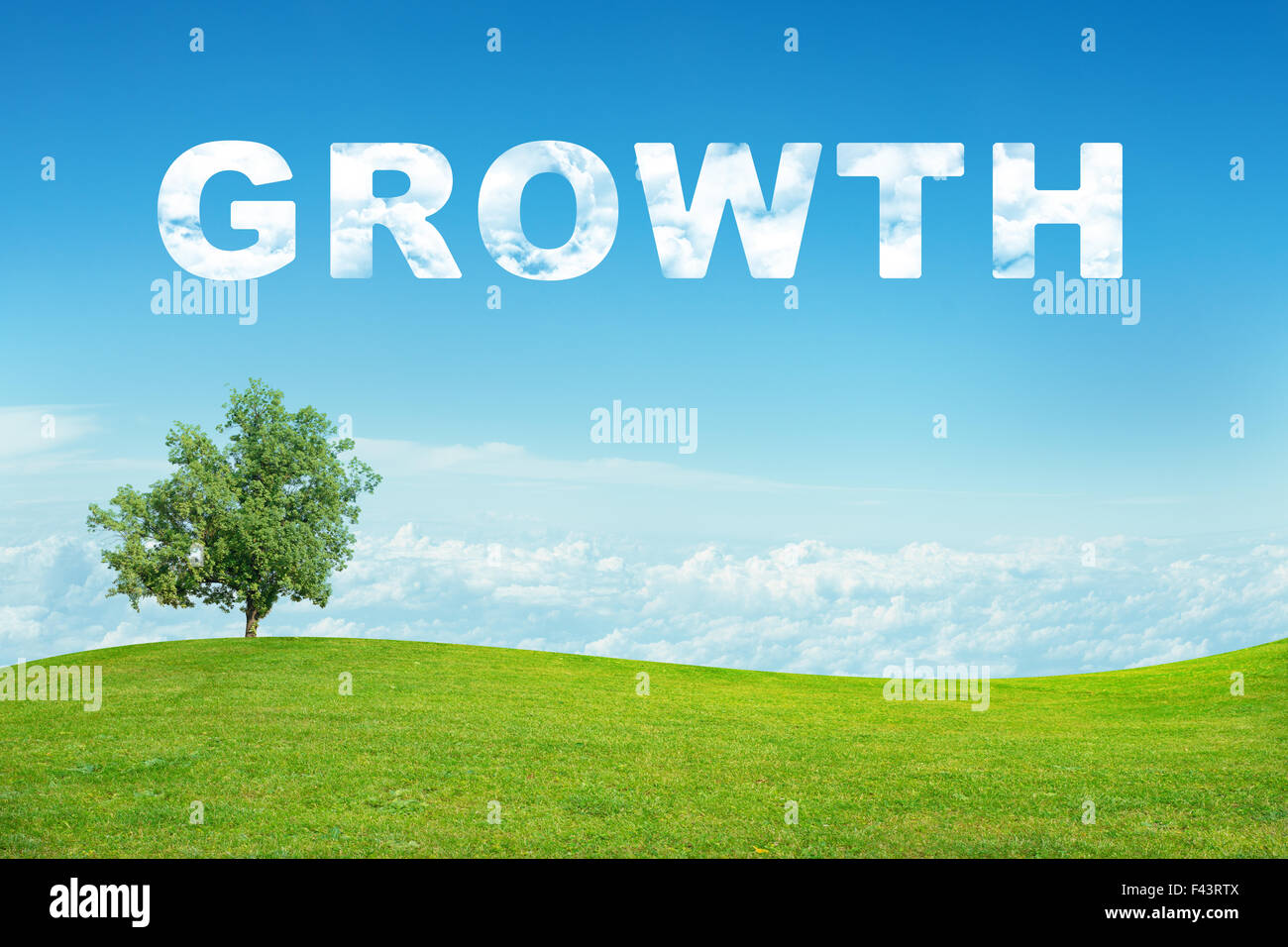 Growth word hi-res stock photography and images - Alamy