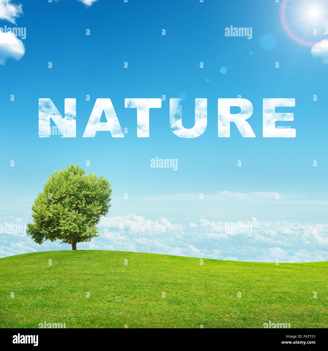 Landscape with nature word Stock Photo - Alamy