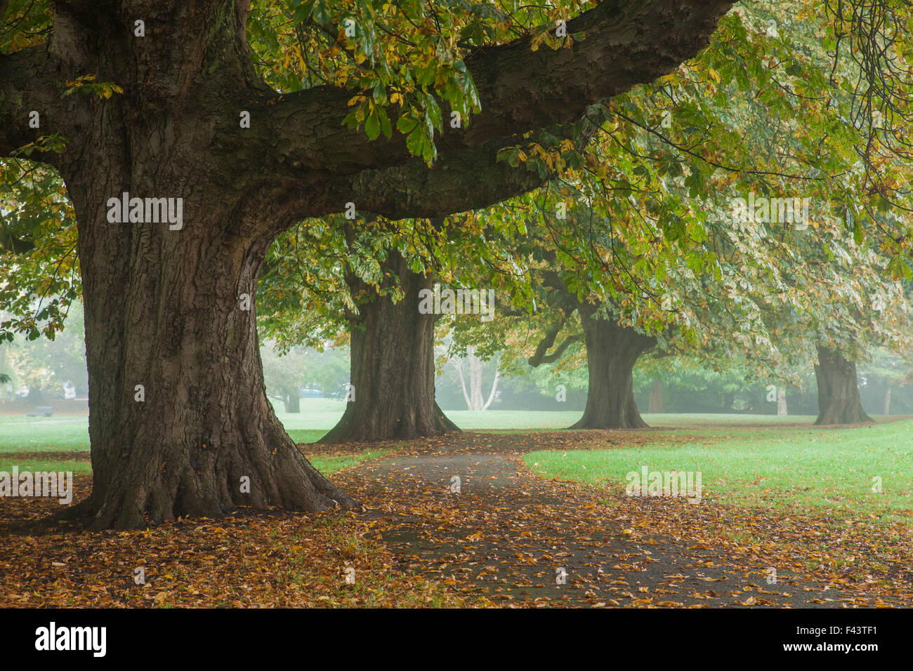 Henrietta park bath autumn hi-res stock photography and images - Alamy