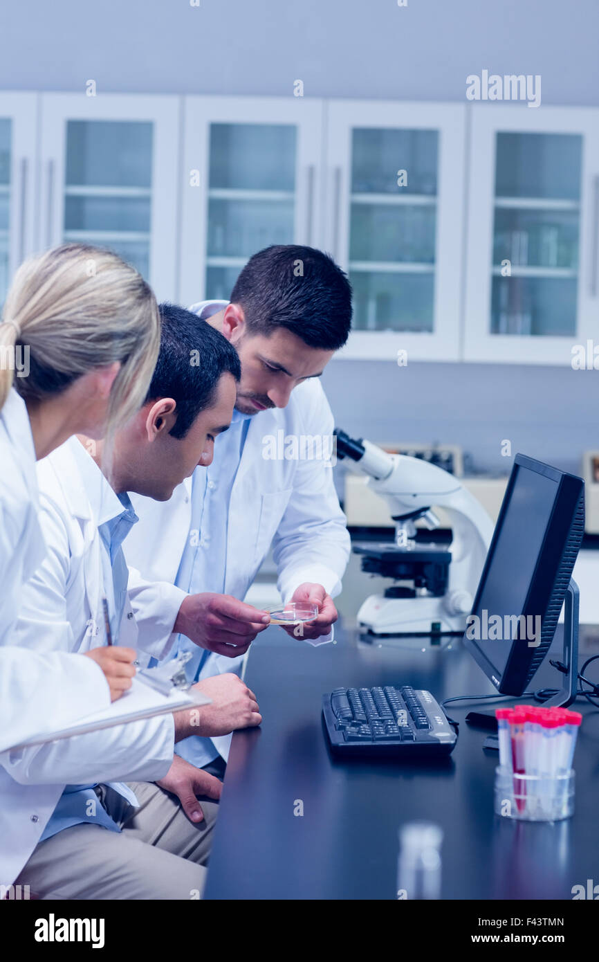 Science students working together in the lab Stock Photo - Alamy